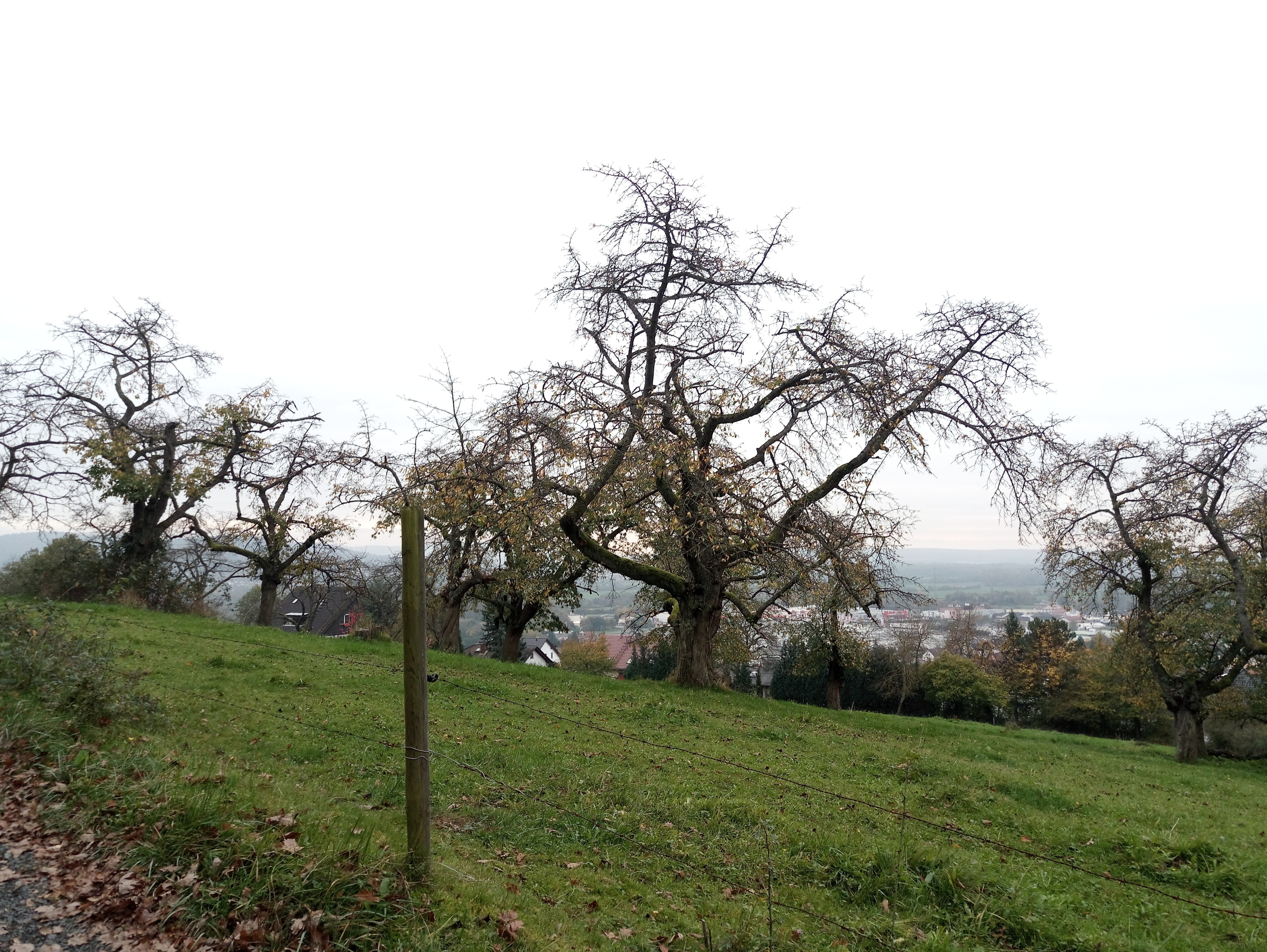 Elephone S8: 2K-China-Phablet im Randlos-Design | Heise online bestenlisten