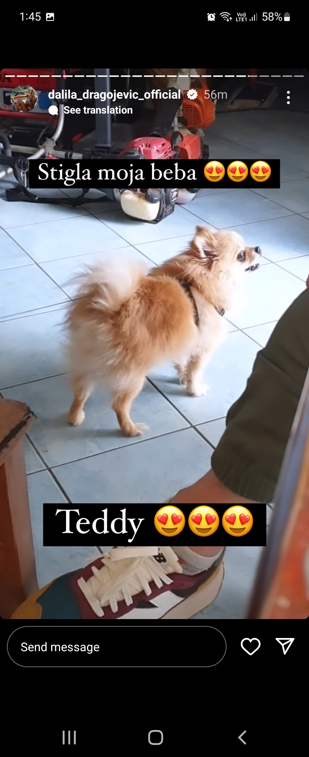 "STIGLA MOJA BEBA" Dalili Dejan vratio psa, dočekao ga Huso, a evo i šta je sa njegovim ...