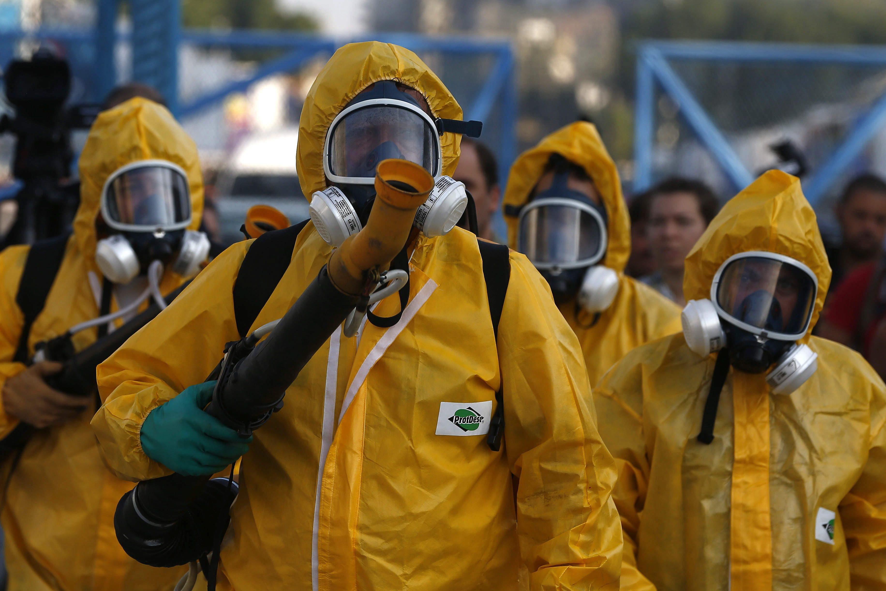 Wirus zika dotarł do Hiszpanii - Świat - Newsweek.pl