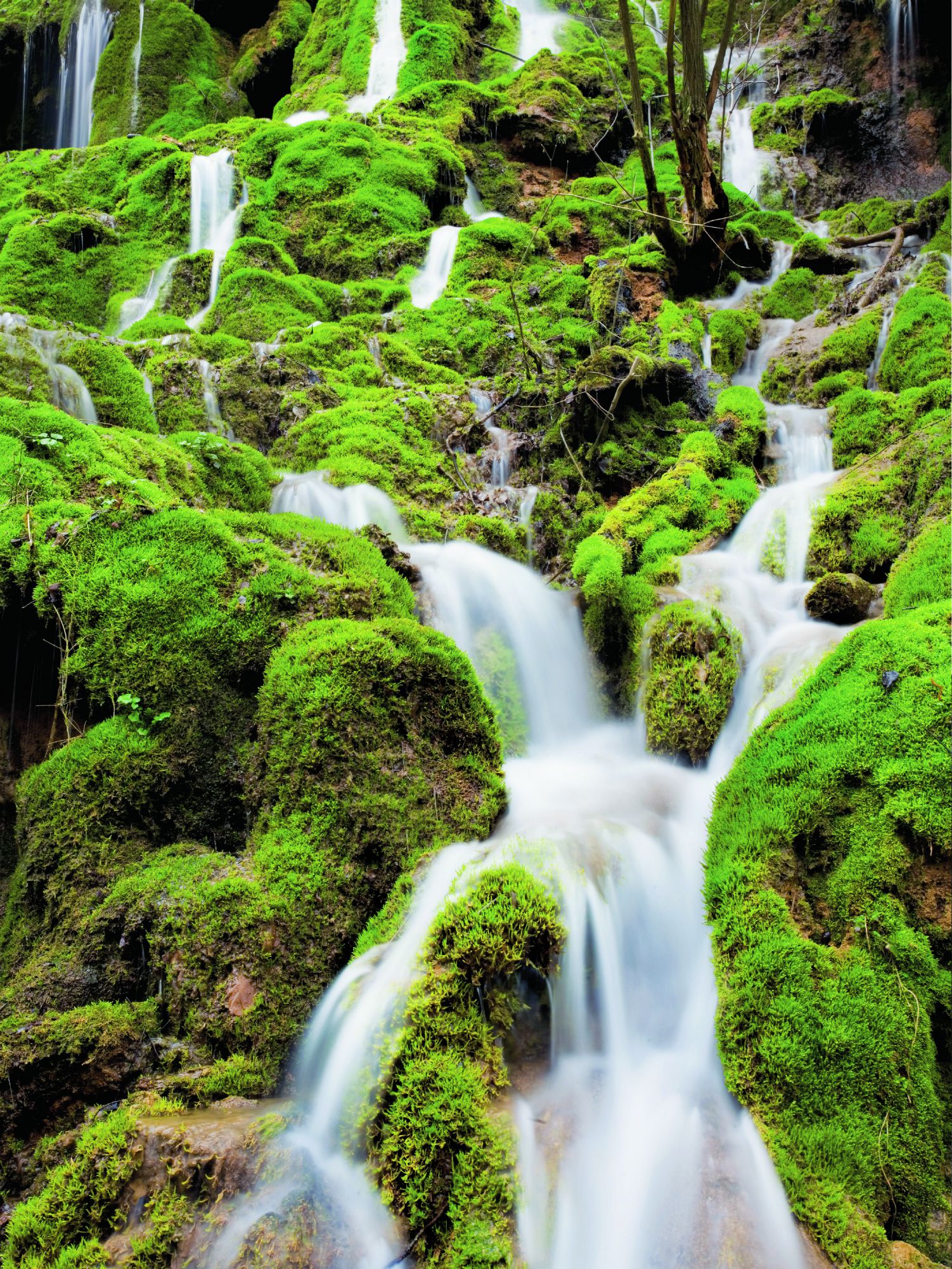 manastir suvodol - Žena.rs