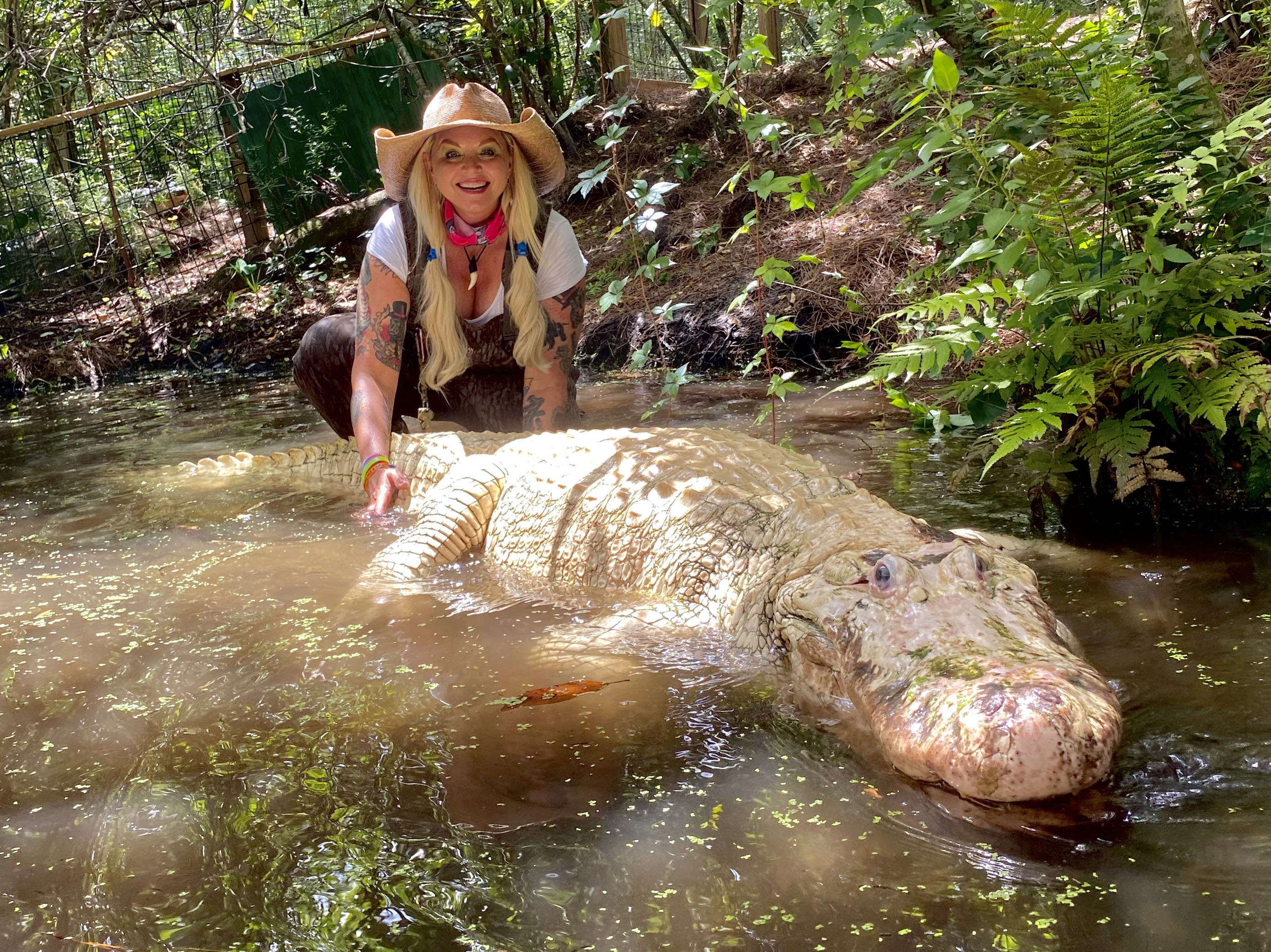 Egy mozdulat és vége: így képes összeroppantani pillanatok alatt ...
