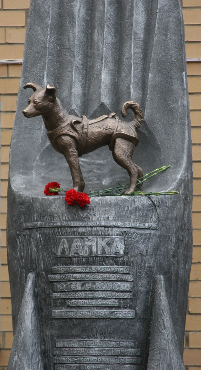 Lajka, a kutya 63 éve ment fel a világűrbe - fotók - Blikk