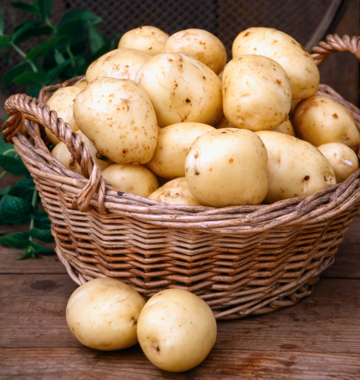 Kako da krompir ne proklija mesecima - Žena.rs