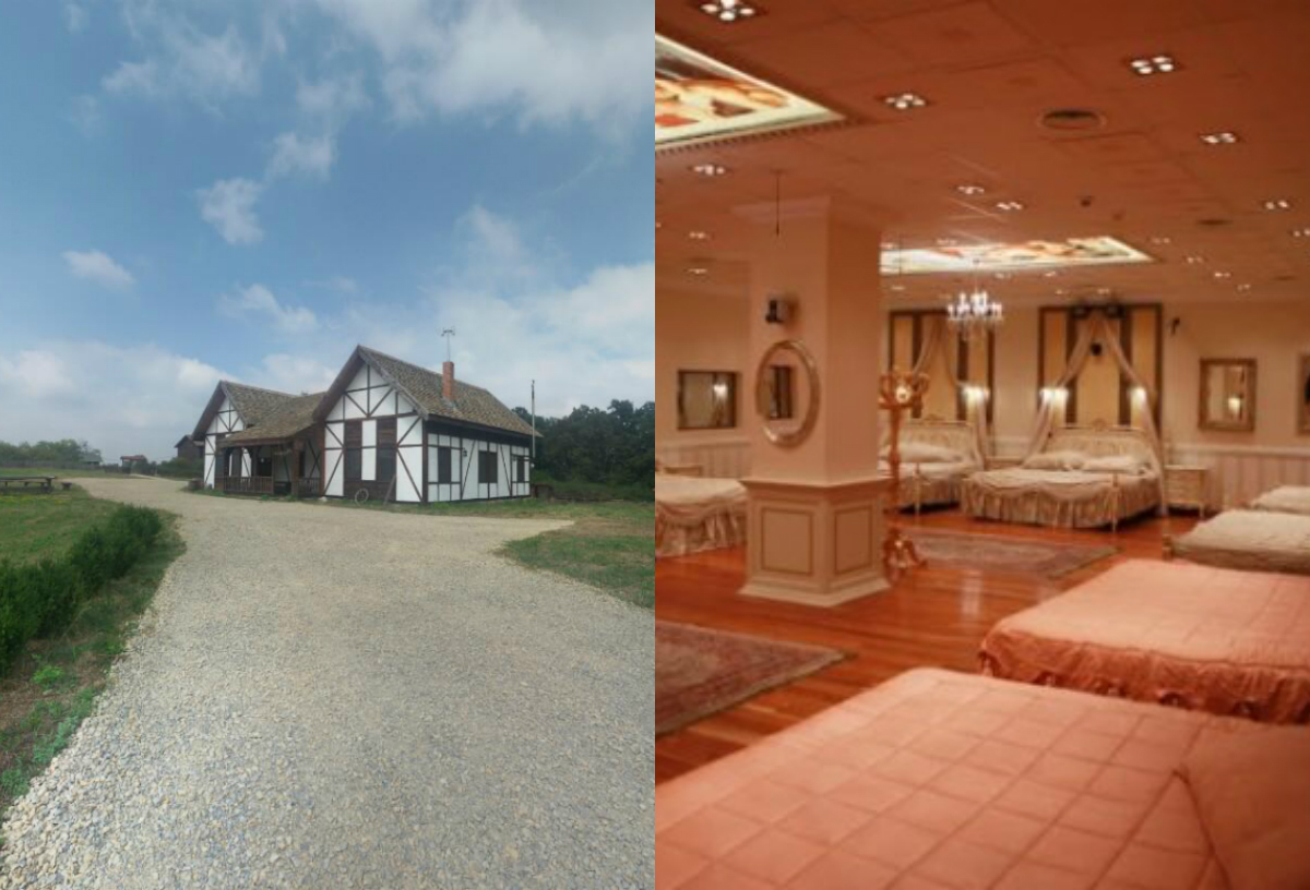 FARMA I PAROVI! Koja je najlepša cica srpskih rijalitija?