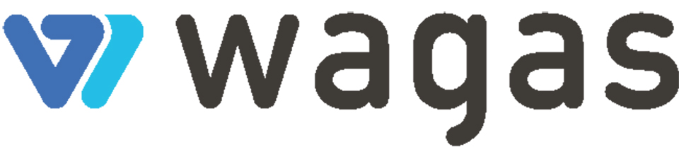 Diamenty Forbesa - WAGAS: Ubezpieczenia szyte na miarę od 20 lat