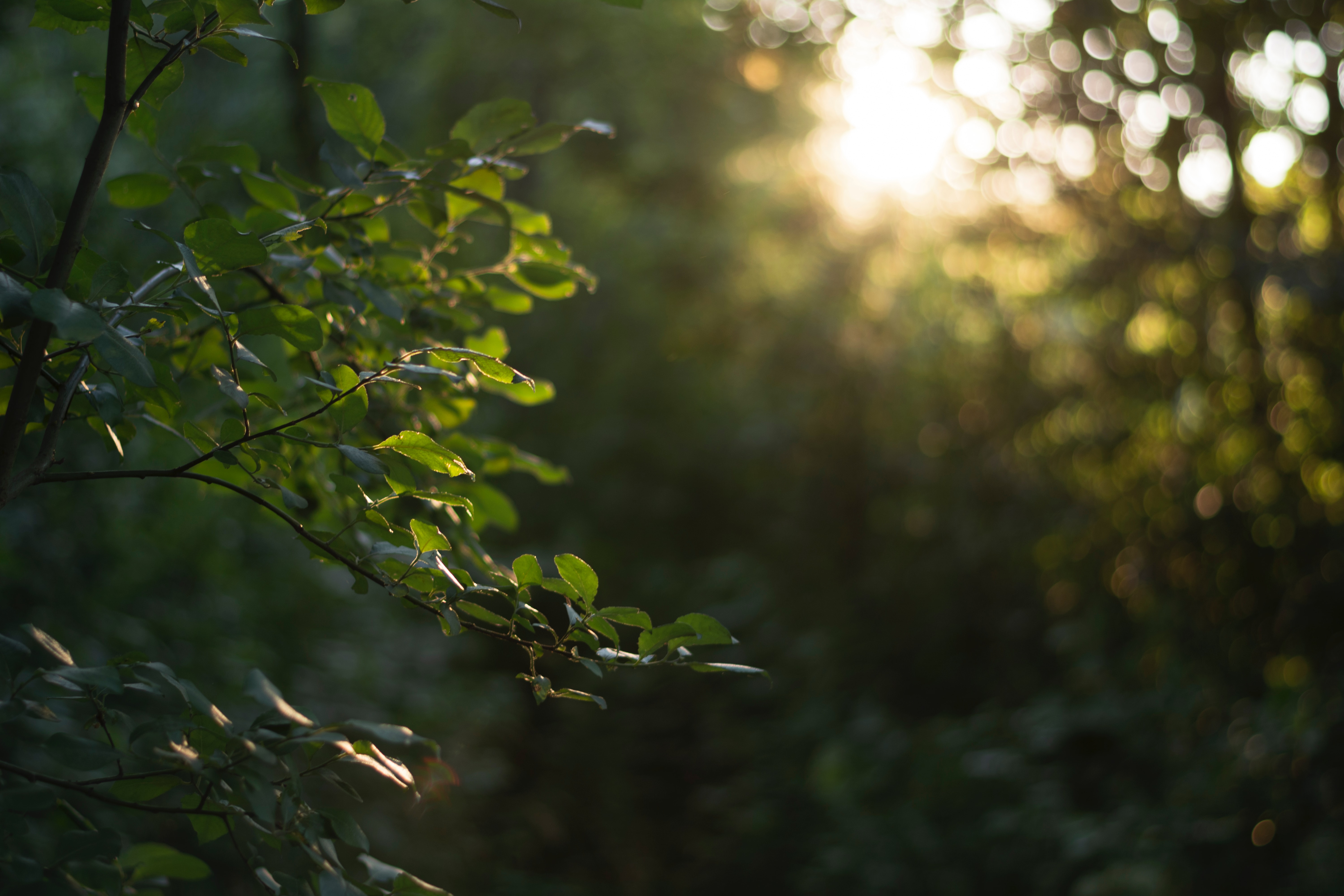 Mi van veled, ősz? Akár 33 fok is lehet a jövő héten - Blikk