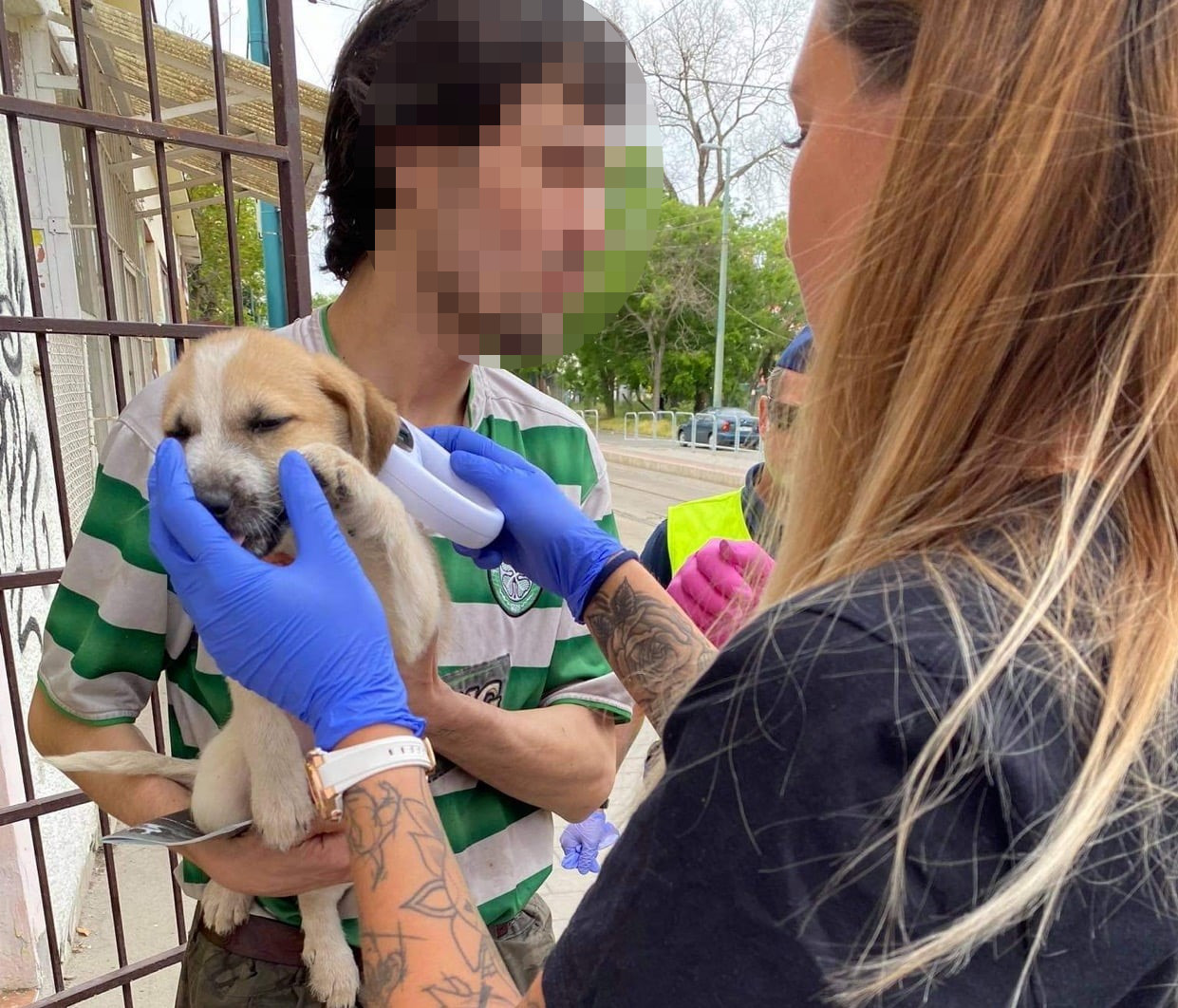 Elítélték Zeuszt, az aluljárókat uraló állatkínzót - Blikk