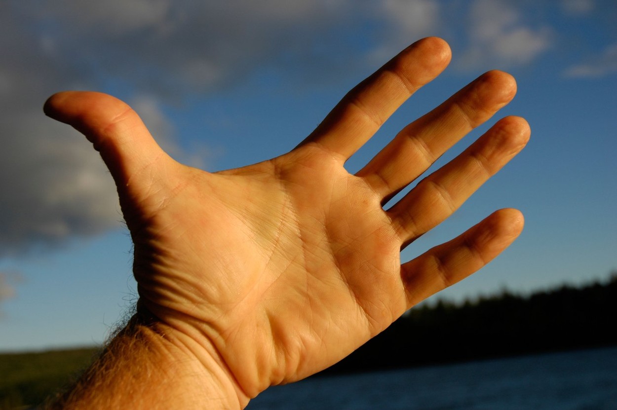 Šta zapravo znače linije na dlanu - Žena.rs