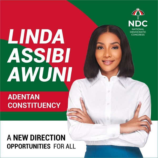 Here are 7 ‘freshers’ contesting to be MPs on the ticket of the NDC ...