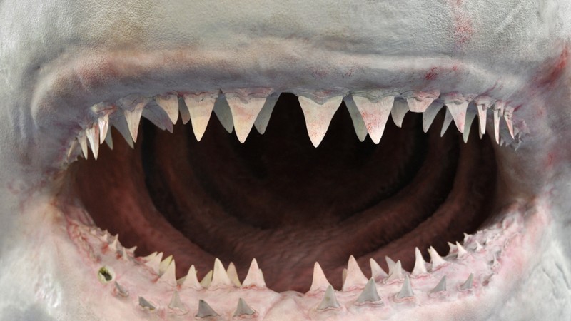 Social Trends : maz-jest-calodobowym-sluzacym-swojego-ojca-tyran ...