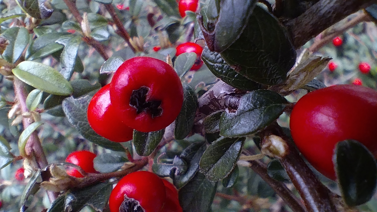 Outdoor-Handy Cat S53 im Test | Heise online bestenlisten