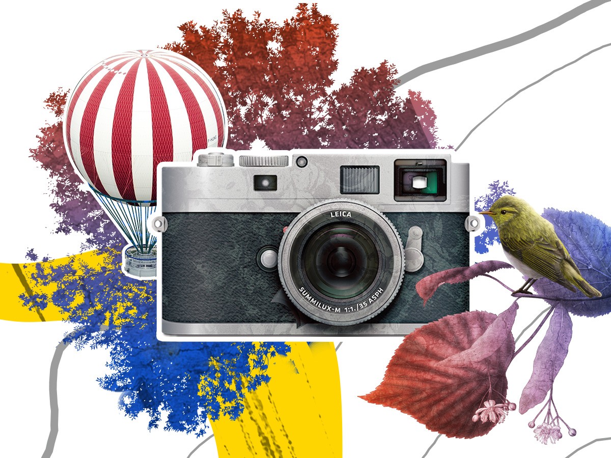 10 éves a Liget – fotópályázat - Blikk