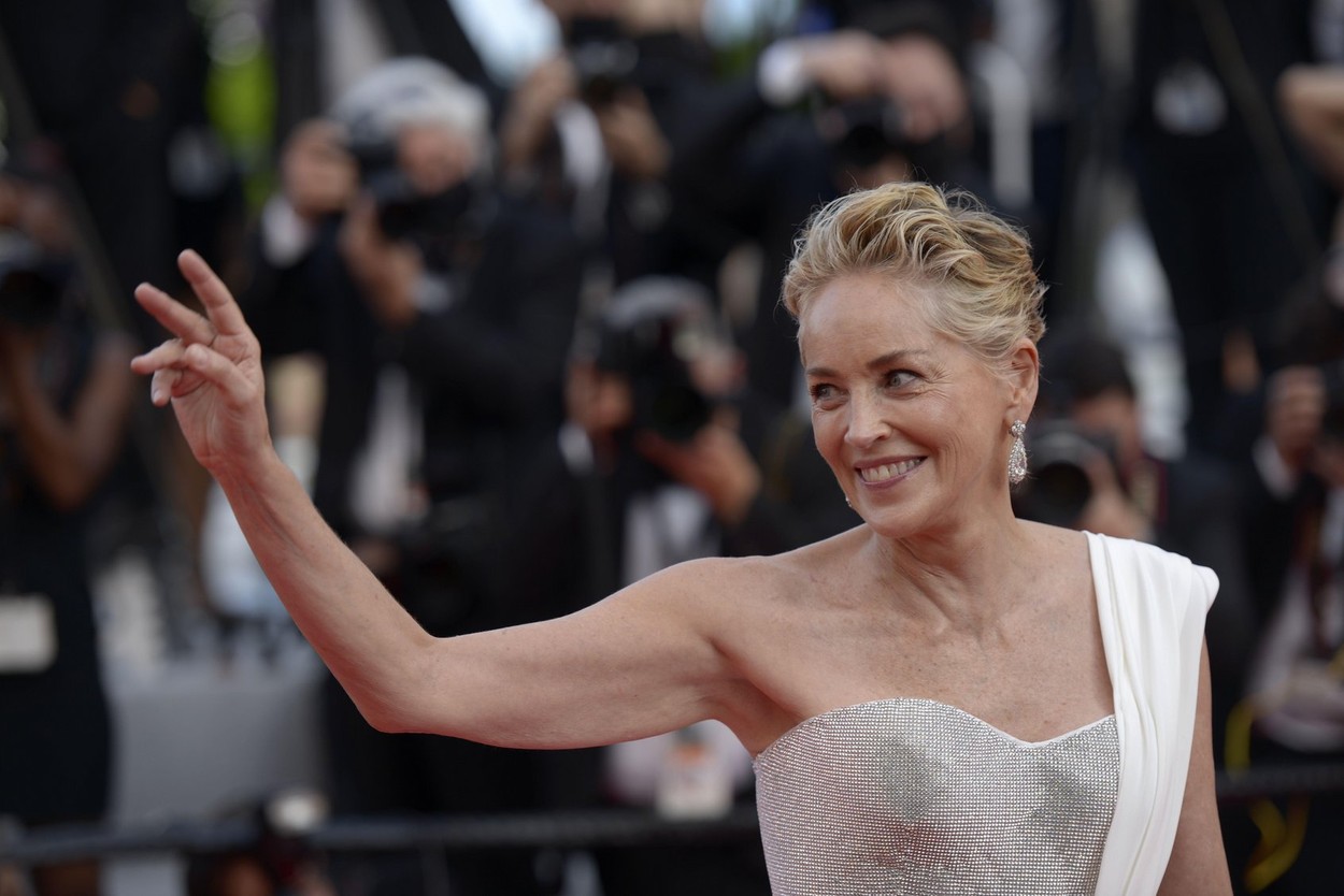 Šeron Stoun objavila POTRESNU fotografiju: Nećak mi je pronađen u ...