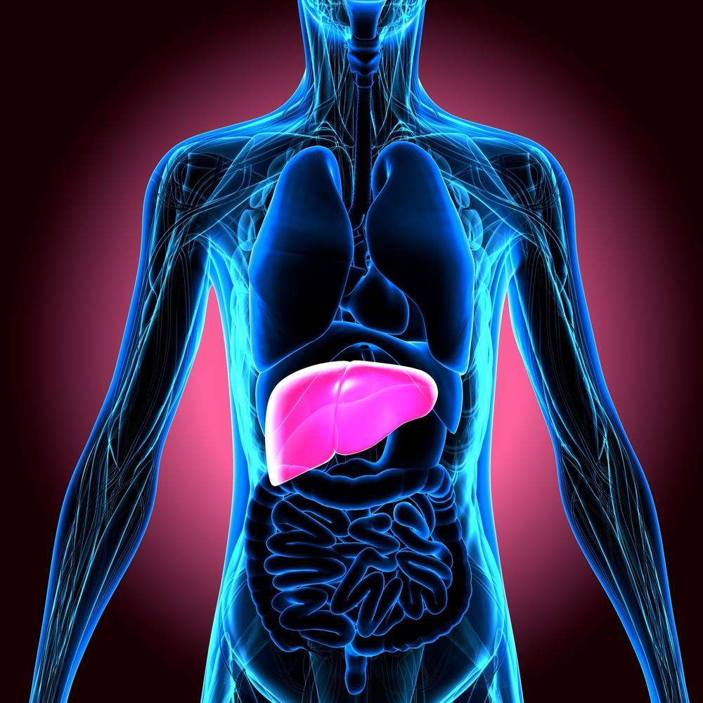 Gdzie jest wątroba? Dolegliwości bólowe i objawy chorób wątroby