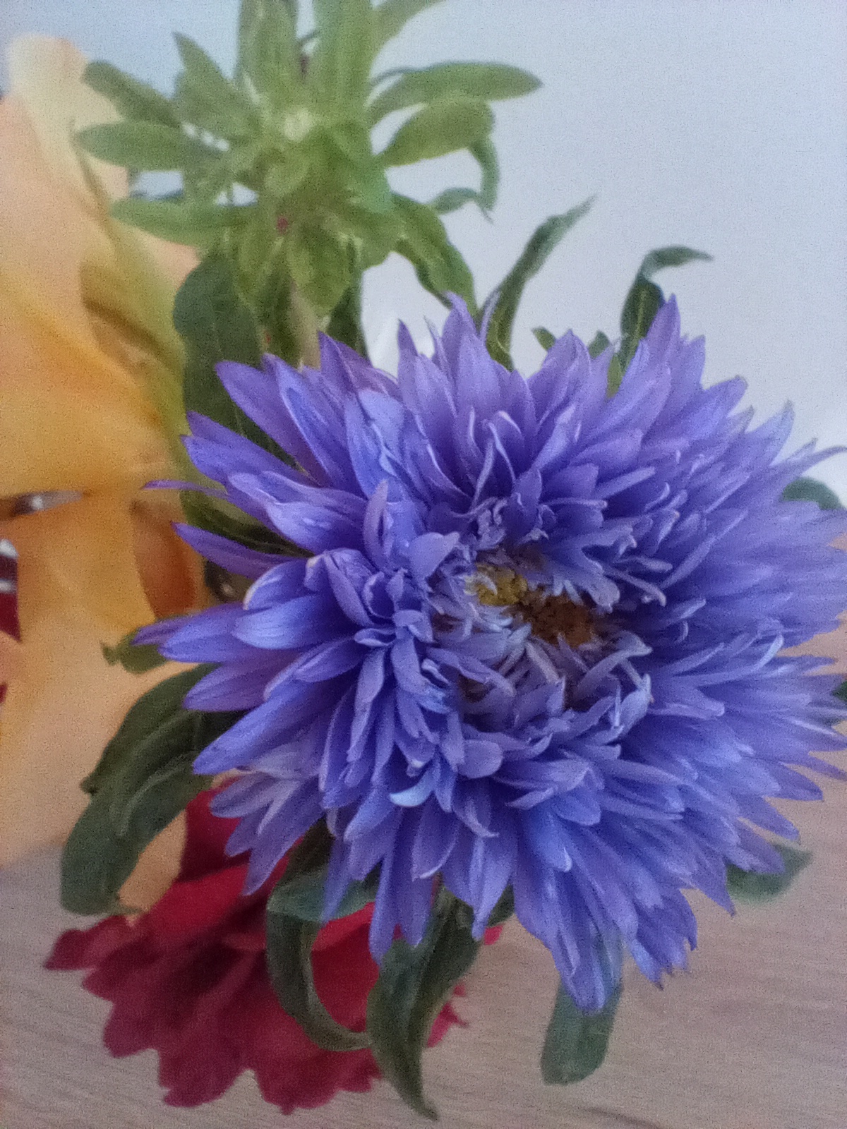 Doro 8200 im Test: Smartes Seniorenhandy mit Notruffunktion | Heise ...