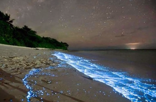 Magiczna plaża na Malediwach. Tu woda połyskuje niczym brokat - Podróże