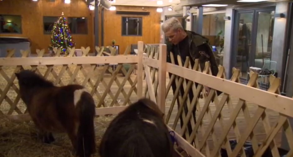 VV Greg megmutatta: így tud beszélgetni a pónikkal – Ennél viccesebb ...