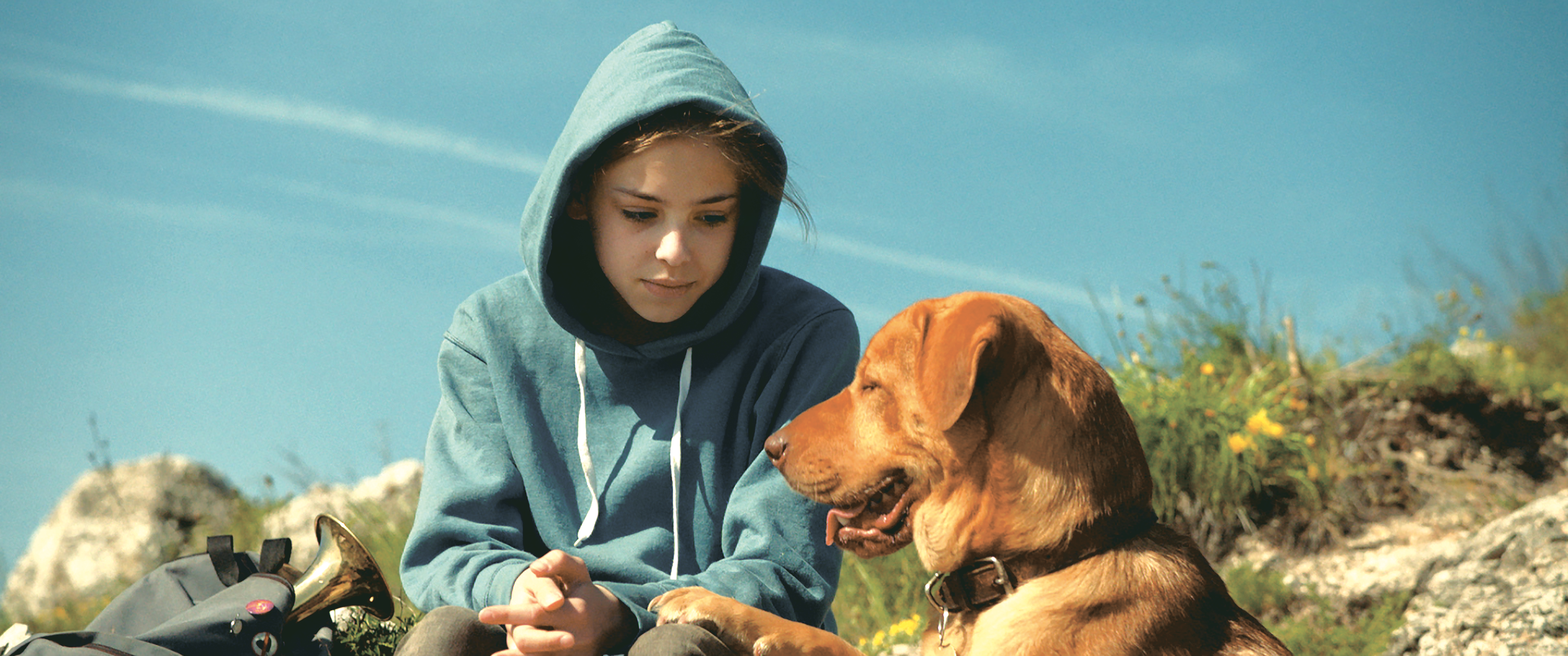 "Biały Bóg": sfora na planie - Film - Kultura