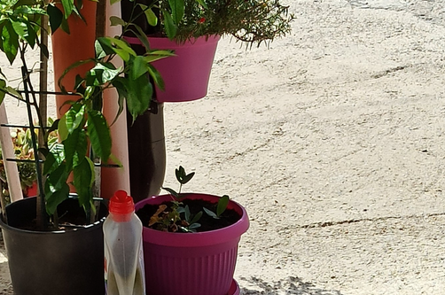 zmija u kući - Žena.rs