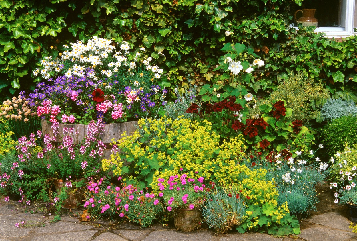 Baštensko cveće - Žena.rs