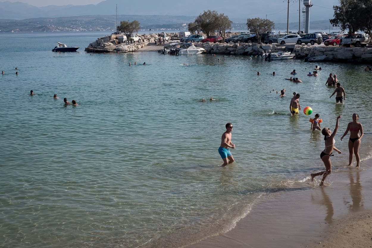 "Luk, zejtin, 2kg ražnjića, 10kg krompira i PUNA ŠERPA NEKUVANOG ...