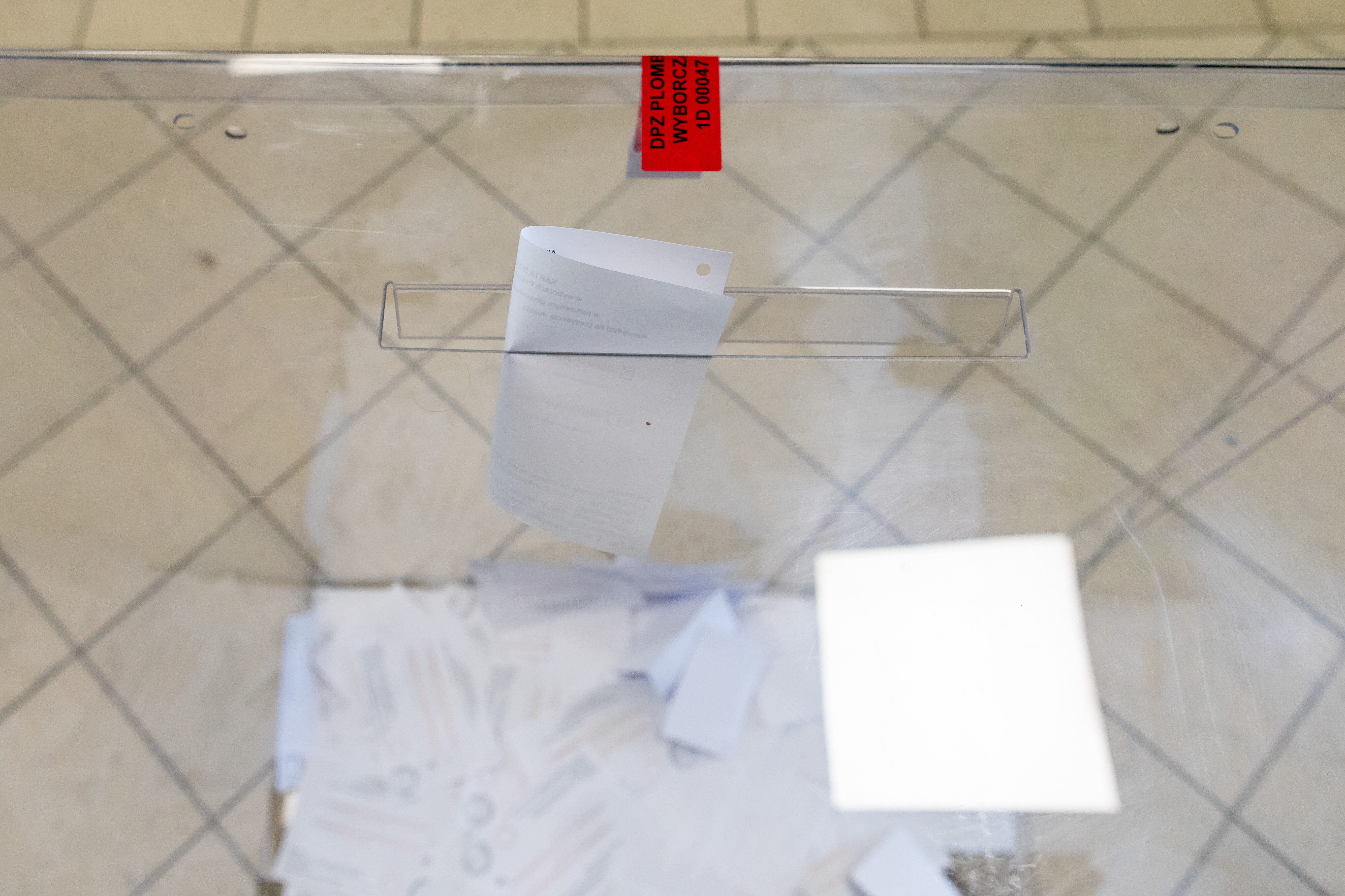 Wojciech Szczurek - najnowsze informacje | Wiadomości