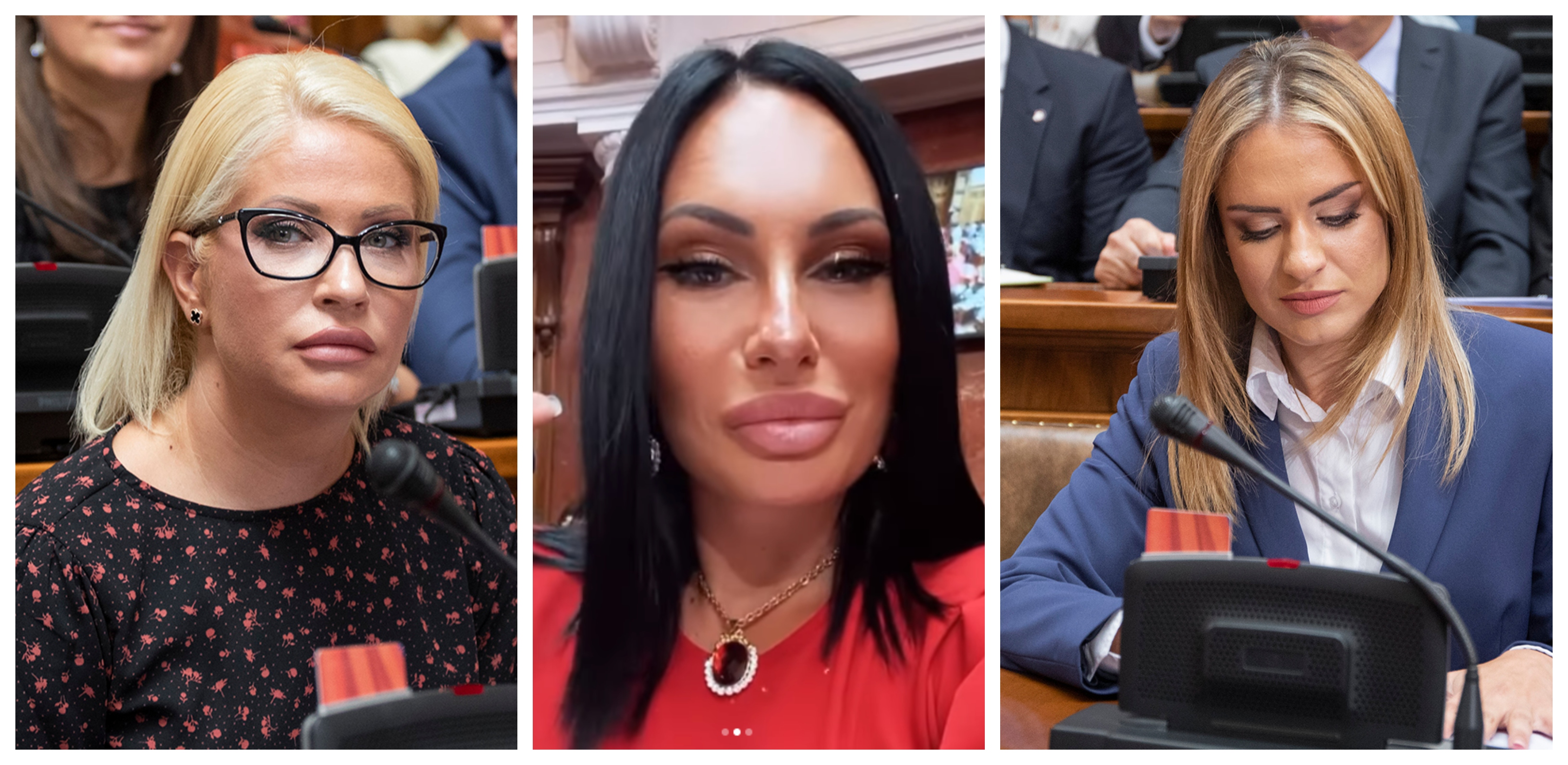 Poslanice Narodne skupštine o kojima se priča - Žena.rs