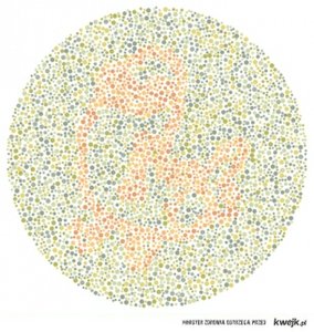 Widzisz to? 8)) Test na daltonizm - Zapytaj.onet.pl