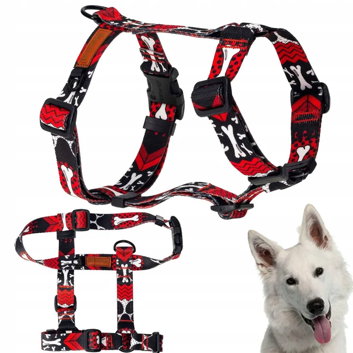 SZELKI spacerowe dla małego psa terriera GUARD regulowane S/M 20 mm ...