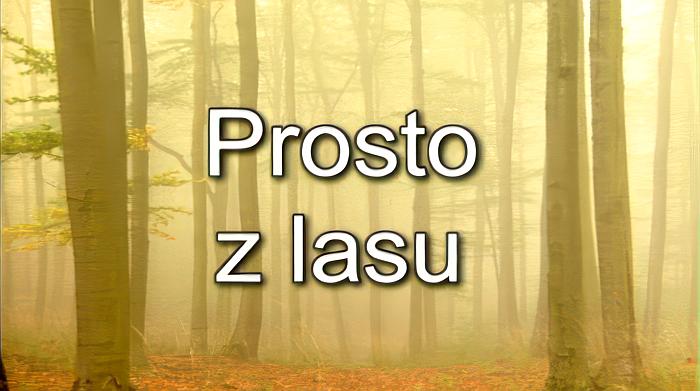 Prosto z lasu, odc. 1