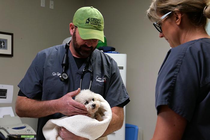 Weterynarze z Nebraski: łapy i pazury, odc. 1