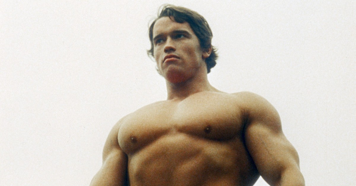 How Arnold Schwarzenegger went from life on a farm in Austria to ...