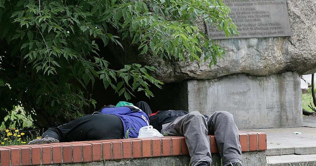 Menele rządzą miastem