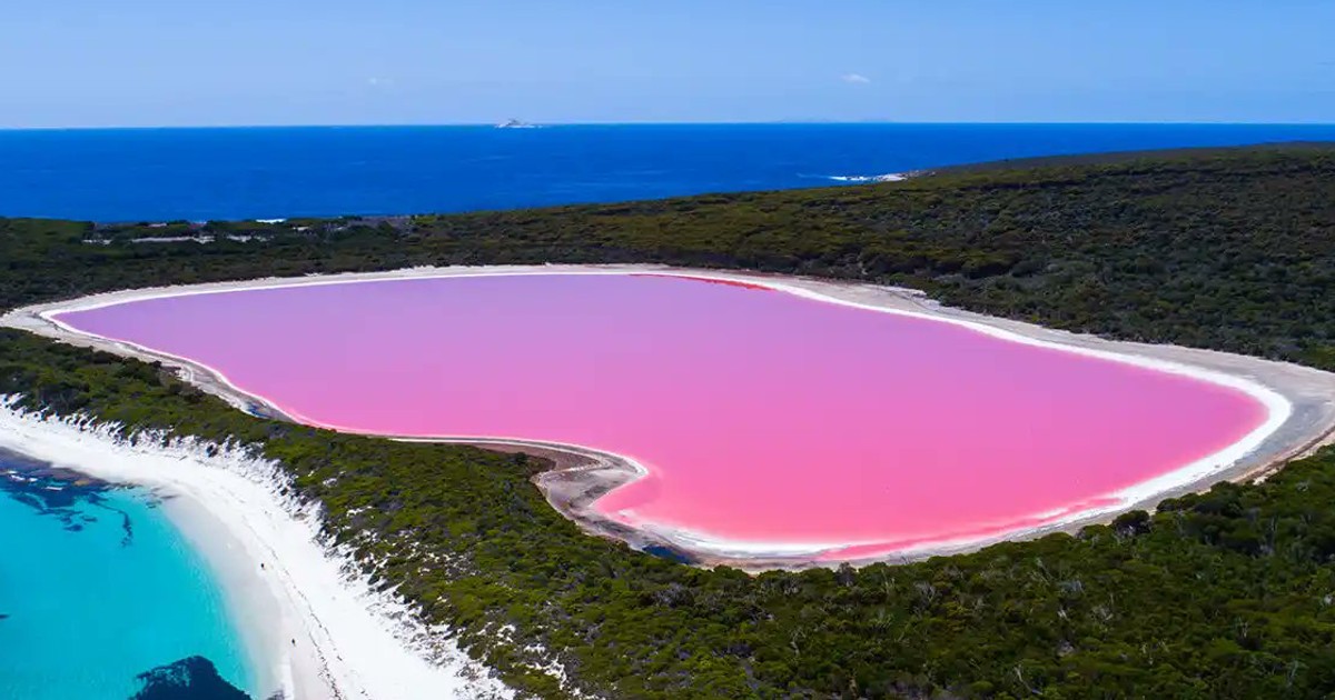 Amazing facts about the pink lake in Senegal that's almost as salty as ...