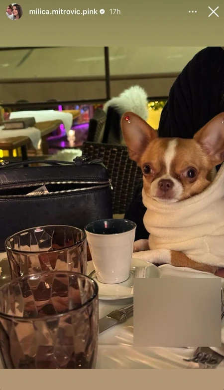 Ovako Milica i Željko Mitrović provode veliki petak - Blic