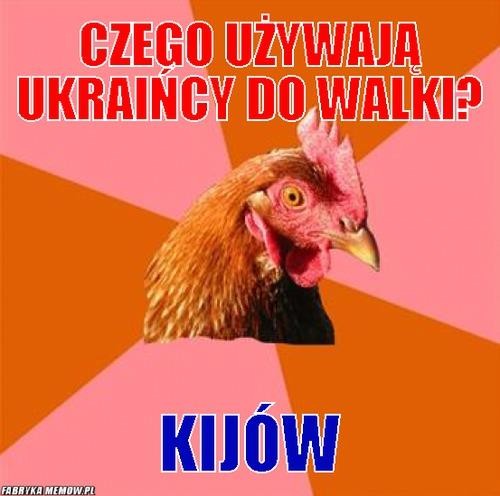Najlepsze memy o Ukrainie - newsweek.pl - Świat - Newsweek.pl
