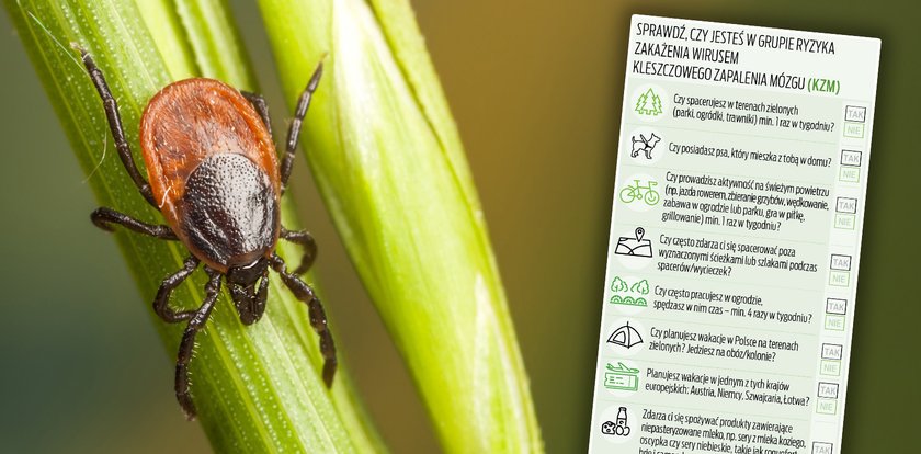 Zdrowie - najnowsze wiadomości - Fakt24.PL