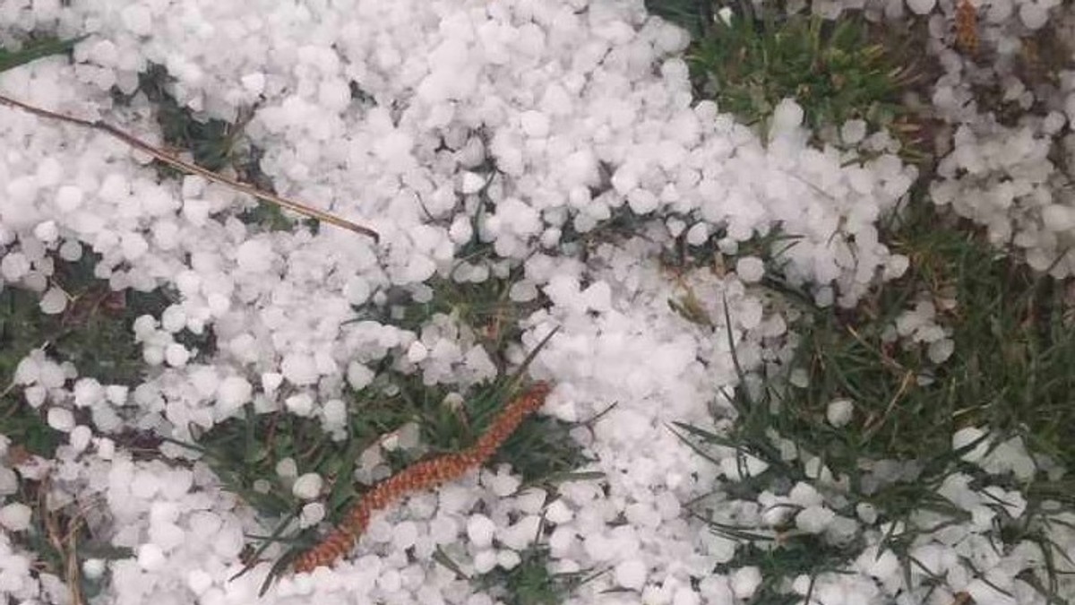 Nevreme u Srbiji: Grad pao u Ivanjici, bujice na ulicama u Sremskim ...