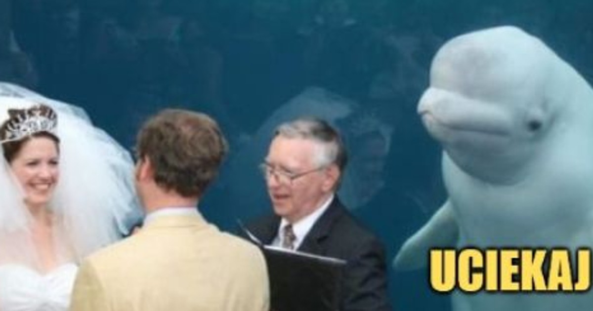 Najzabawniejsze memy o ślubach i weselach. Śmiech gwarantowany! - Kobieta