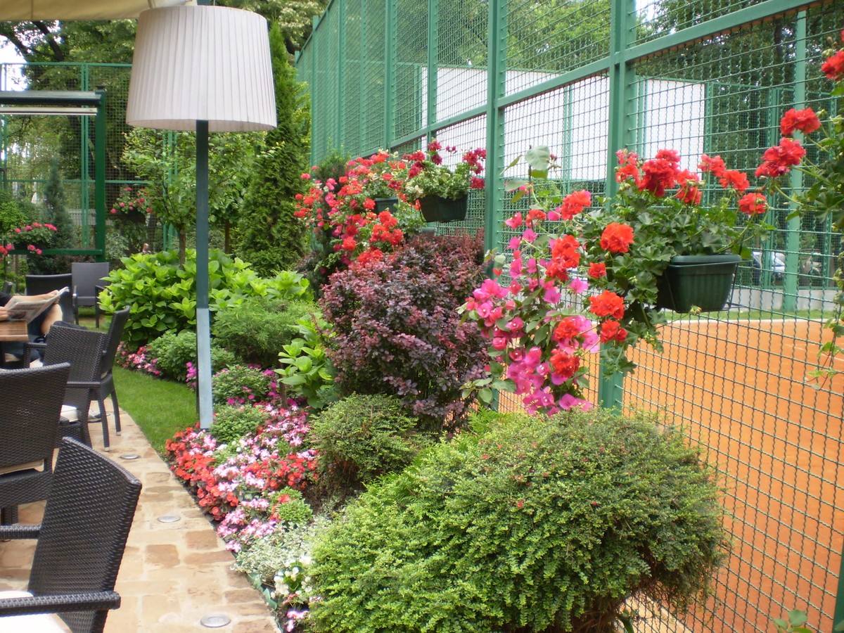 Fotografije : Najlepša dvorišta i balkoni u Beogradu