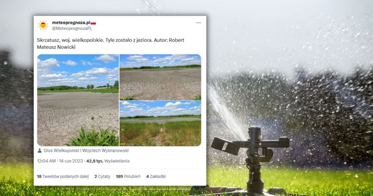 Potężna susza w Polsce. W Wielkopolsce aż wyschło jezioro - Podróże