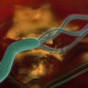 Kínai arctérkép: Most megtudhatod, hogy a szervezetedben hol van ...