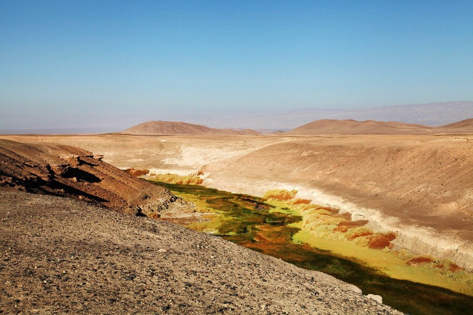 Quillagua na pustyni Atacama w Chile - najbardziej suche miasto na ...