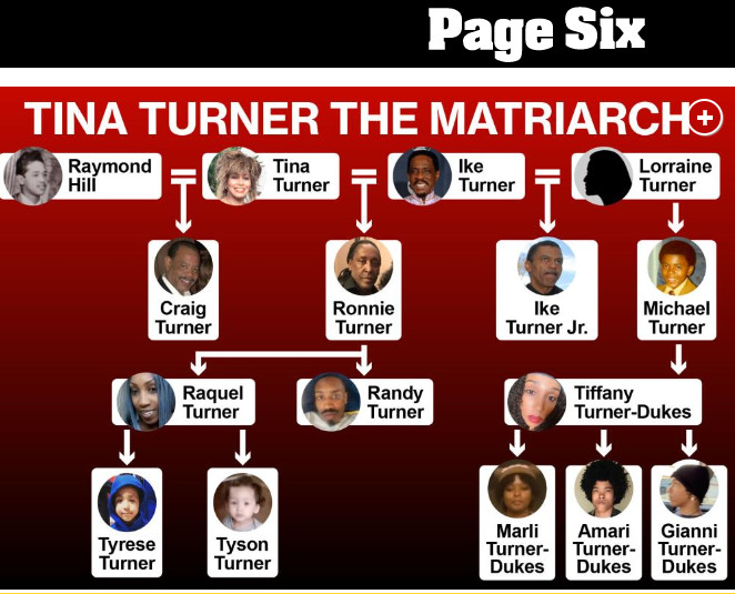 Rodzinna tajemnica Tiny Turner. "To był dla nas szok" - Plejada.pl