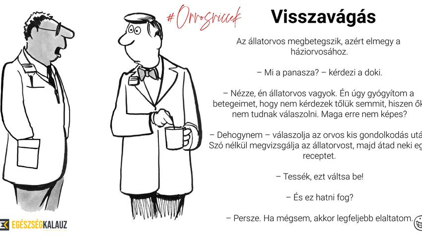 Orvos viccek, napi mosoly: visszavágás! | EgészségKalauz