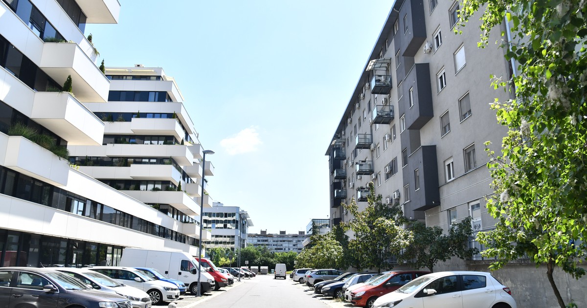 Zemunci besni zbog novih komšija iz Kragujevca koji su uneli pometnju ...