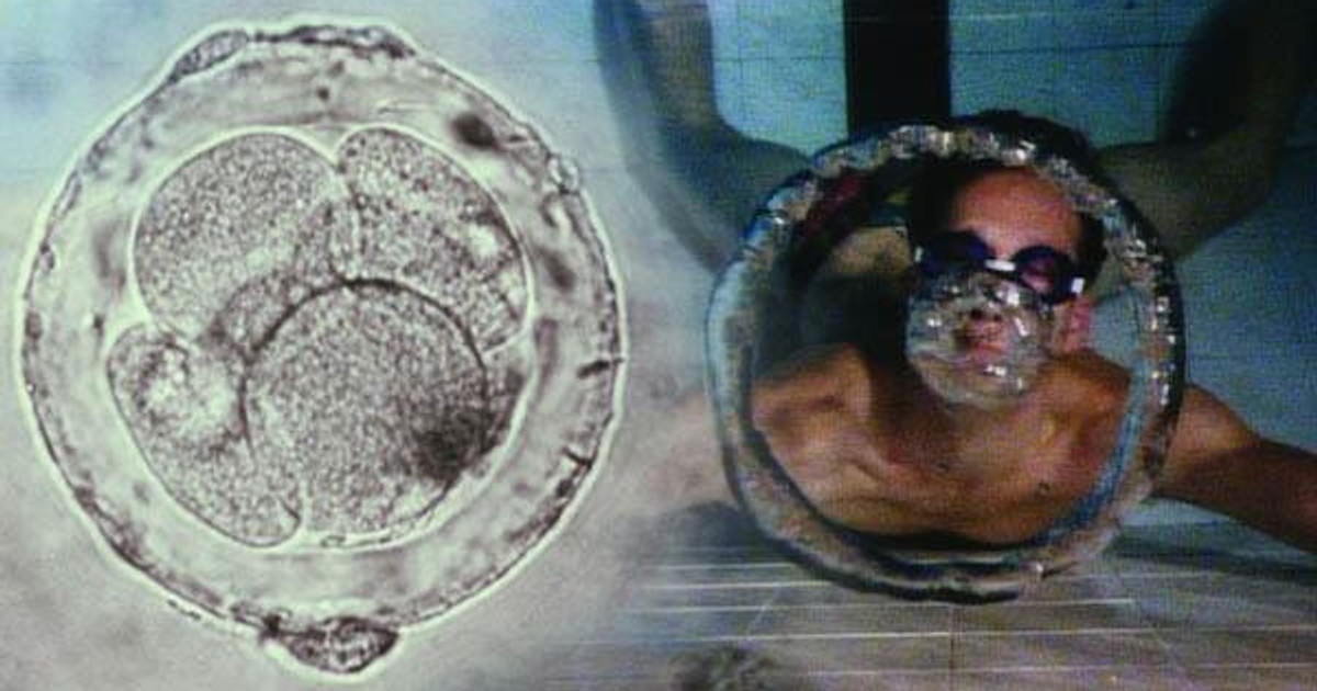 "Bodysong". Recenzja filmu dokumentalnego - Film