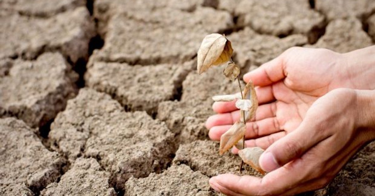 Susza w Polsce już w 14 województwach. Mamy coraz większy deficyt wody ...