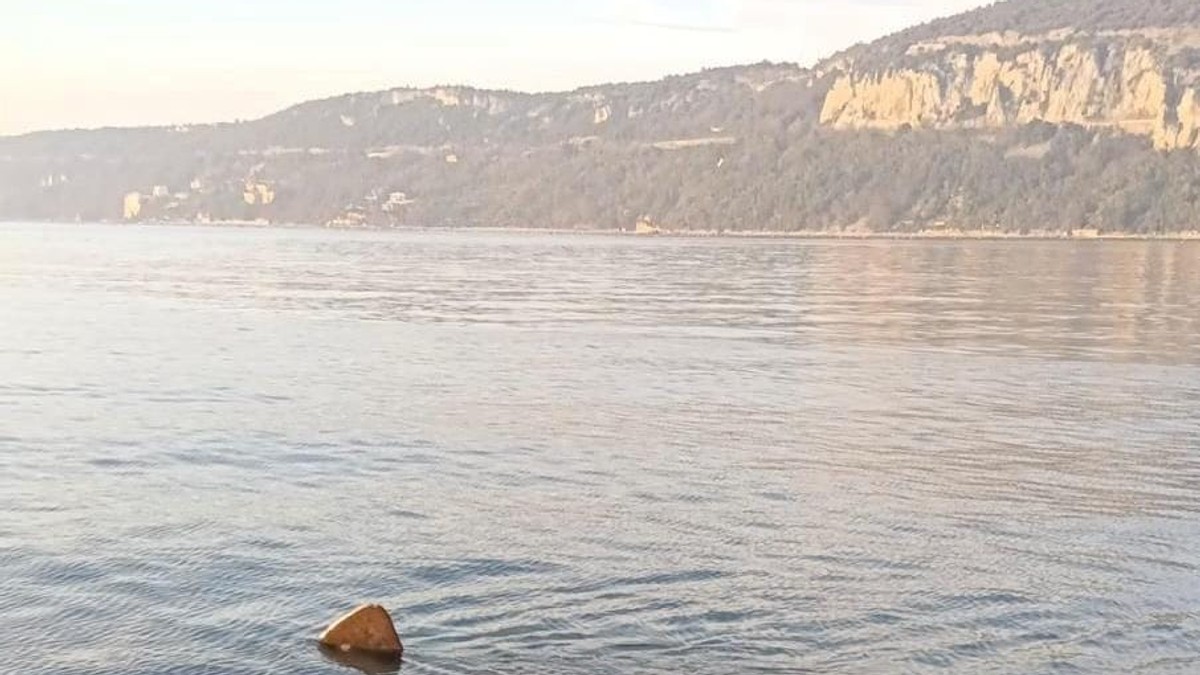 Ajkula snimljena u Jadranskom moru (FOTO) - Blic