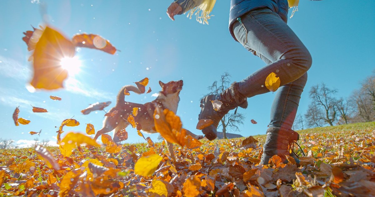 Vremenske promene i bolovi: Kako hladnija jesen utiče na naše telo - Blic